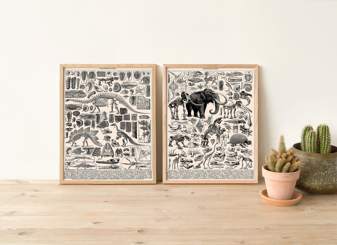 Vintage Paleontology Poster: Dinosaur & Fossil Wall Art - Etsy