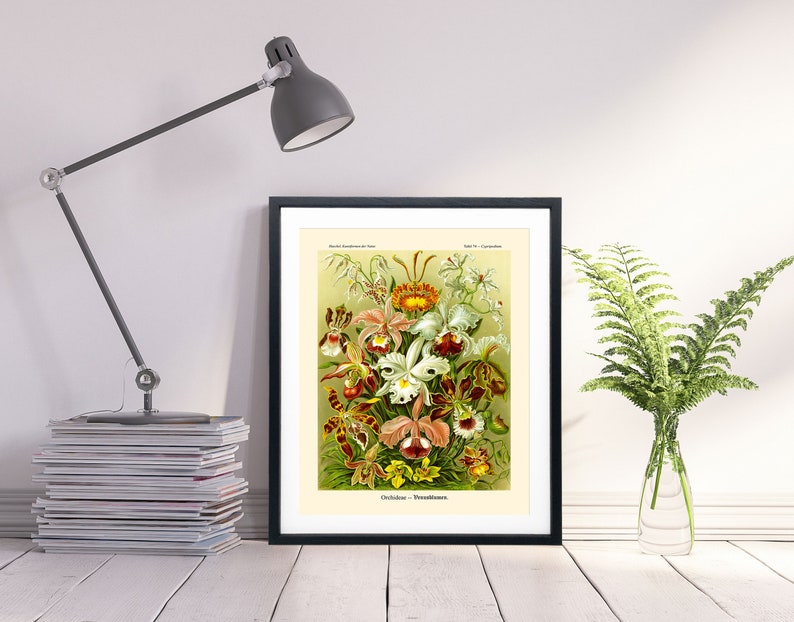 Orchid Print Orchids Wall Art Orchids Poster Orchids - Etsy