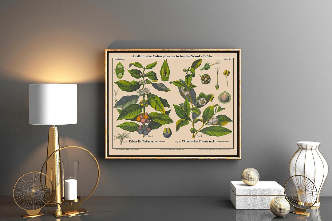 Tea and Coffee Plant Botanical Print Rare Coffee Decor Cafe Poster Cafe ...
