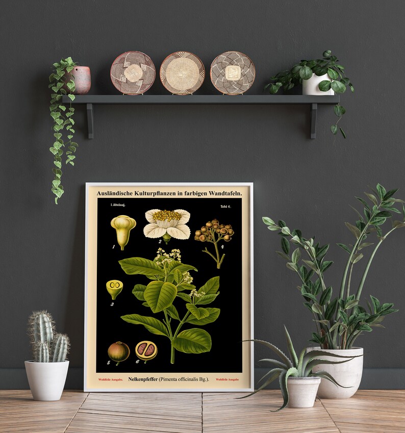 Black Botanical Print Vintage German Botanical Chart Pepper - Etsy