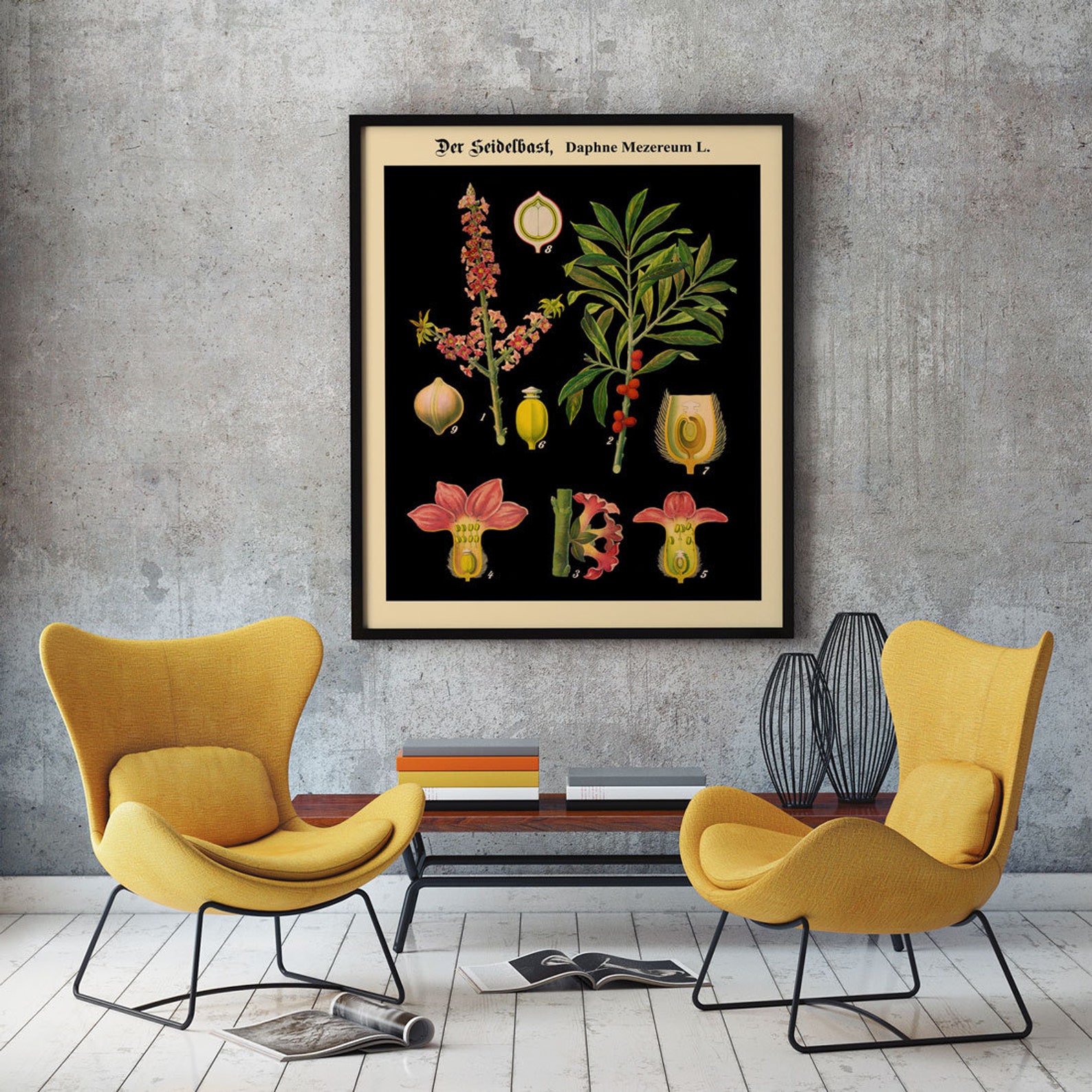 Botanical Charts Set of 2 Educational Botanical Charts Rare | Etsy