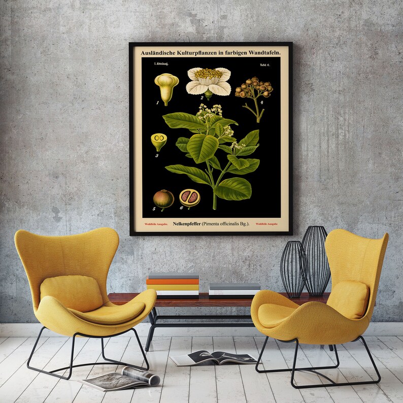 Black Botanical Print Vintage German Botanical Chart Pepper | Etsy