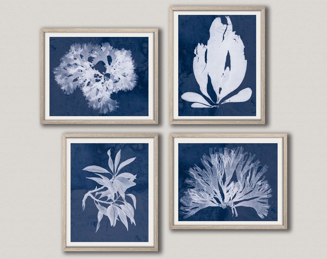 Cyanotype Prints Set of 4 Cyanotype Botanical Prints From - Etsy