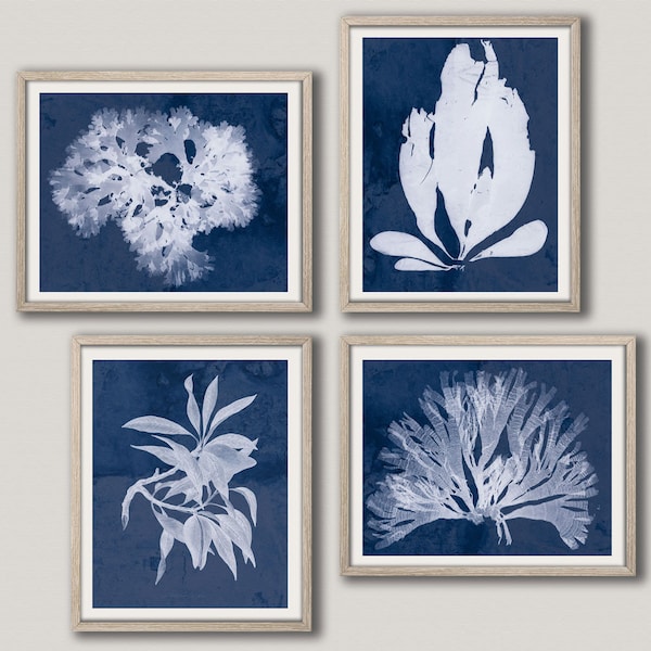 Cyanotype - Etsy UK