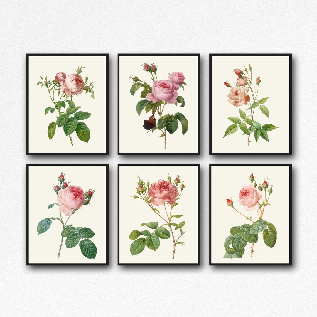 Rose Decor Set of 6 Rose Botanical Prints WBOT143-148 - Etsy