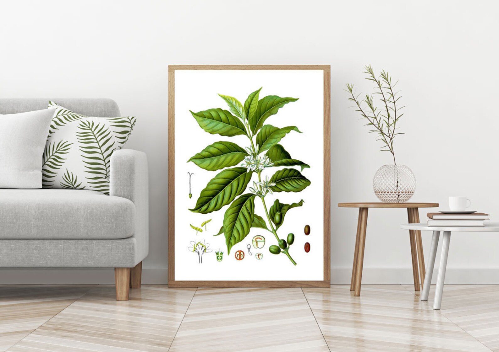 Coffee Plant Botanical Illustration Cafe Decor Coffee Wall Art - Etsy
