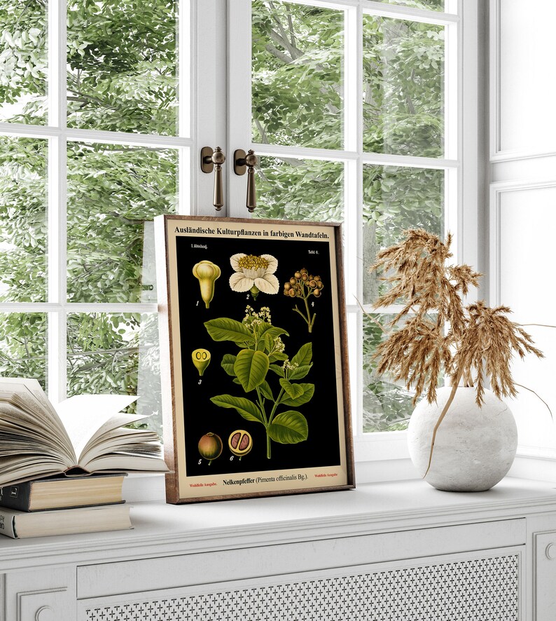 Black Botanical Print Vintage German Botanical Chart Pepper - Etsy