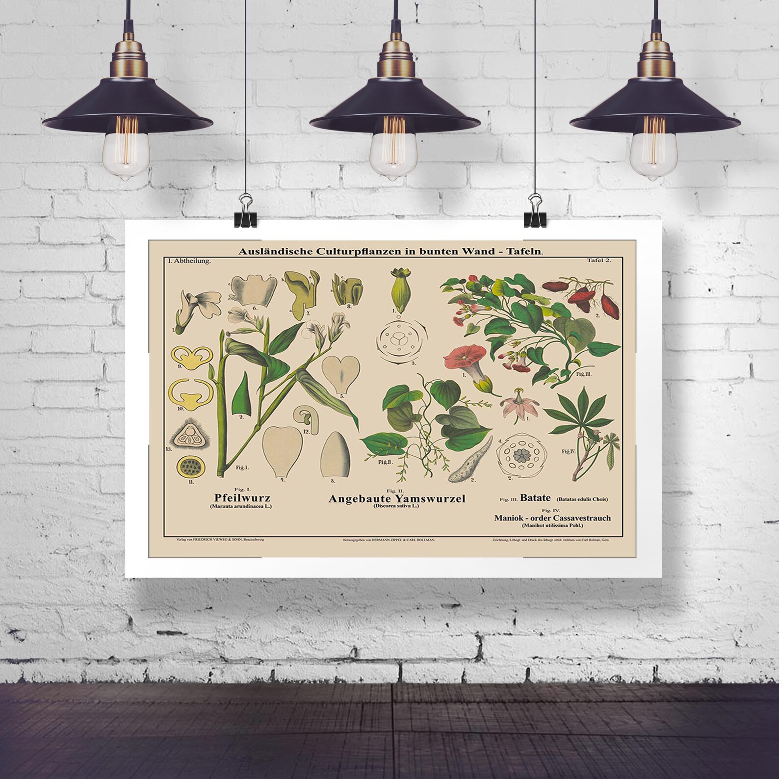 Very Rare Landscape Botanical Art Large Landscape Print - Etsy