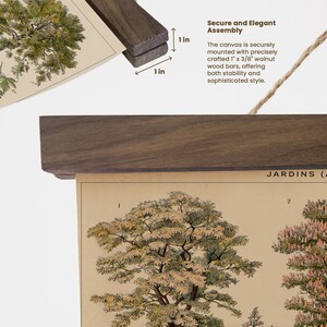 Botanical Tree Wall Hanging Tree Illustration by Adolphe Millot Printed ...