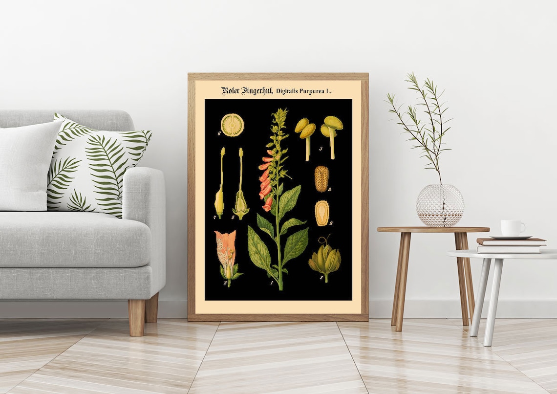 Large Wall Art Botanical Art Botany Print Large Botanical - Etsy