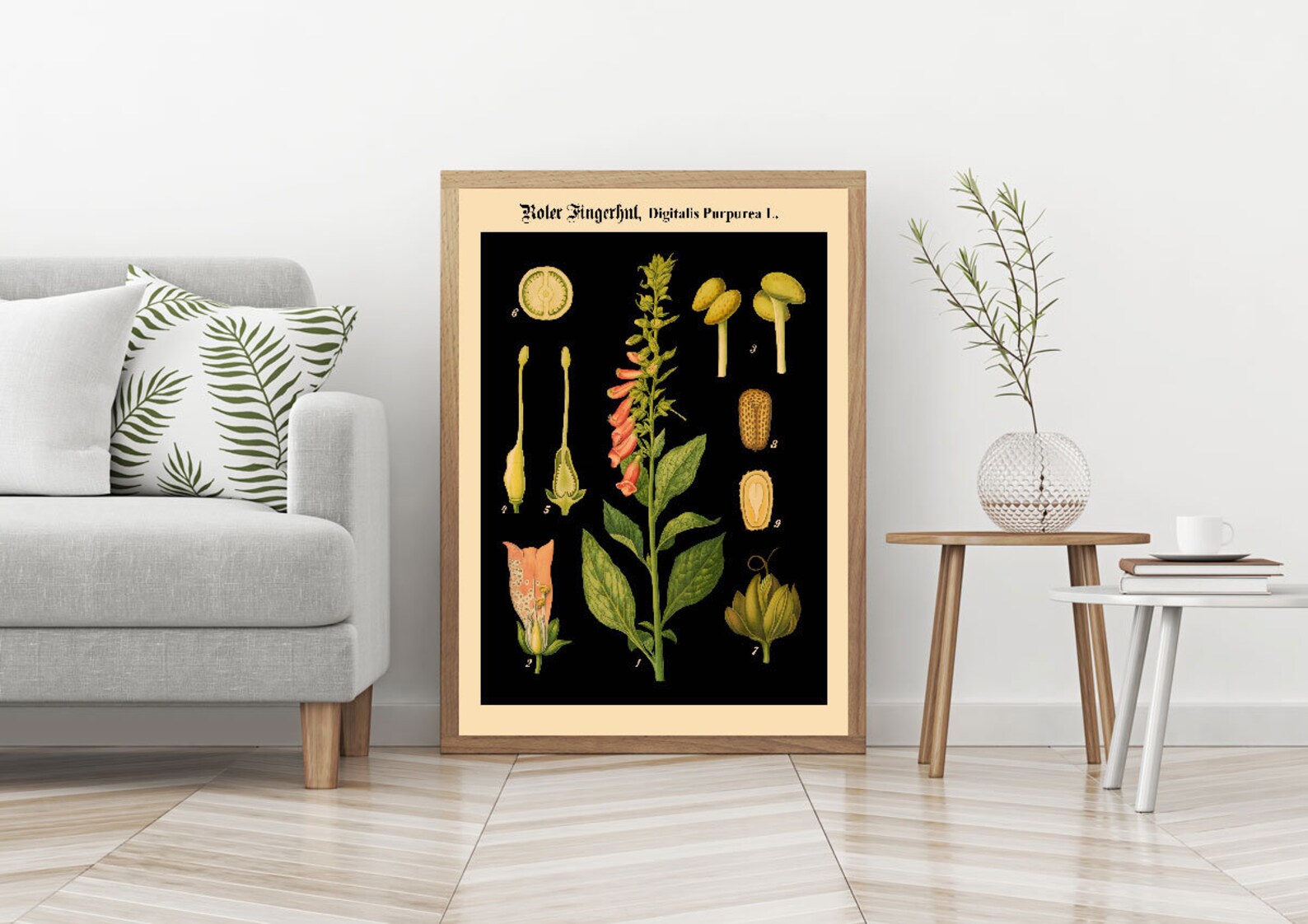 Large Wall Art Botanical Art Botany Print Large Botanical - Etsy