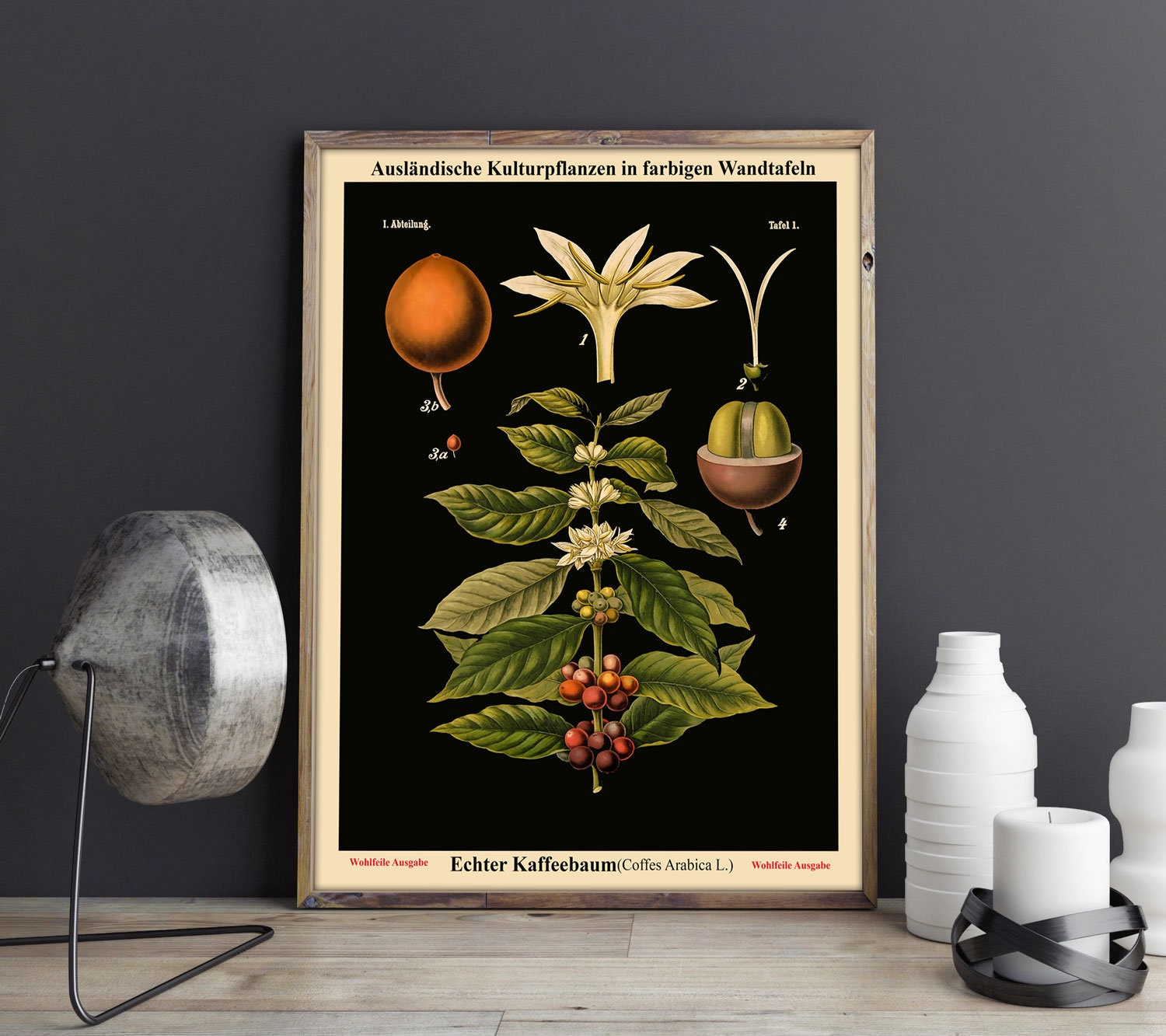Educational Botany Posters