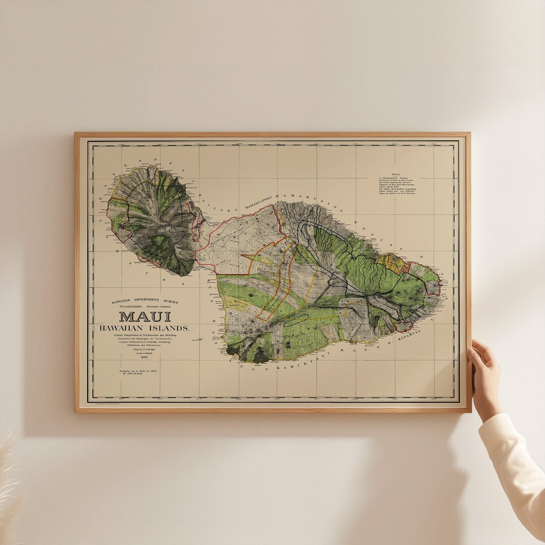 Maui Map Poster Topographic Hawaiian Islands Map Art Print Poster or ...