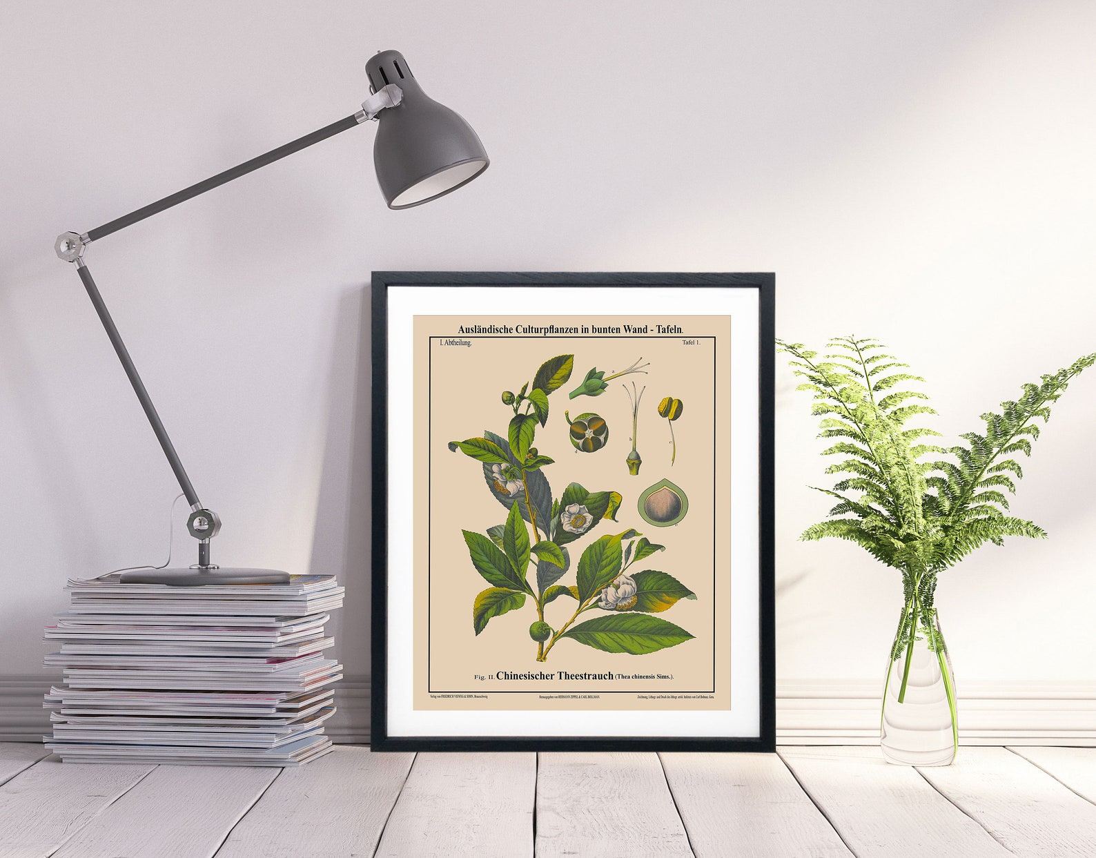 Tea Tree Botanical Print Tea Botanical Wall Art Thea Chinensis - Etsy