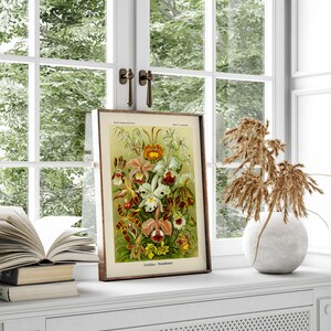 Orchid Print Orchids Wall Art Orchids Poster Orchids - Etsy