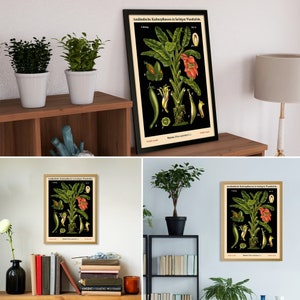 Large Wall Art Botanical Art Botany Print Large Botanical Poster ...