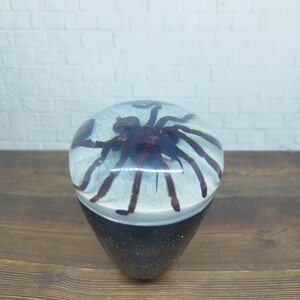 Underwater REAL Spider TARANTULA Gear Shift Shifter Knob From Acrilyc ...
