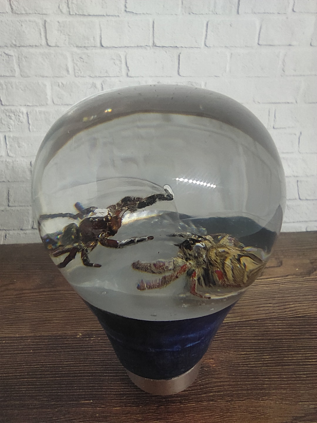 Underwater REAL Fighting SPIDER Gear Shift Knob From Acrilyc Resin_a217 ...