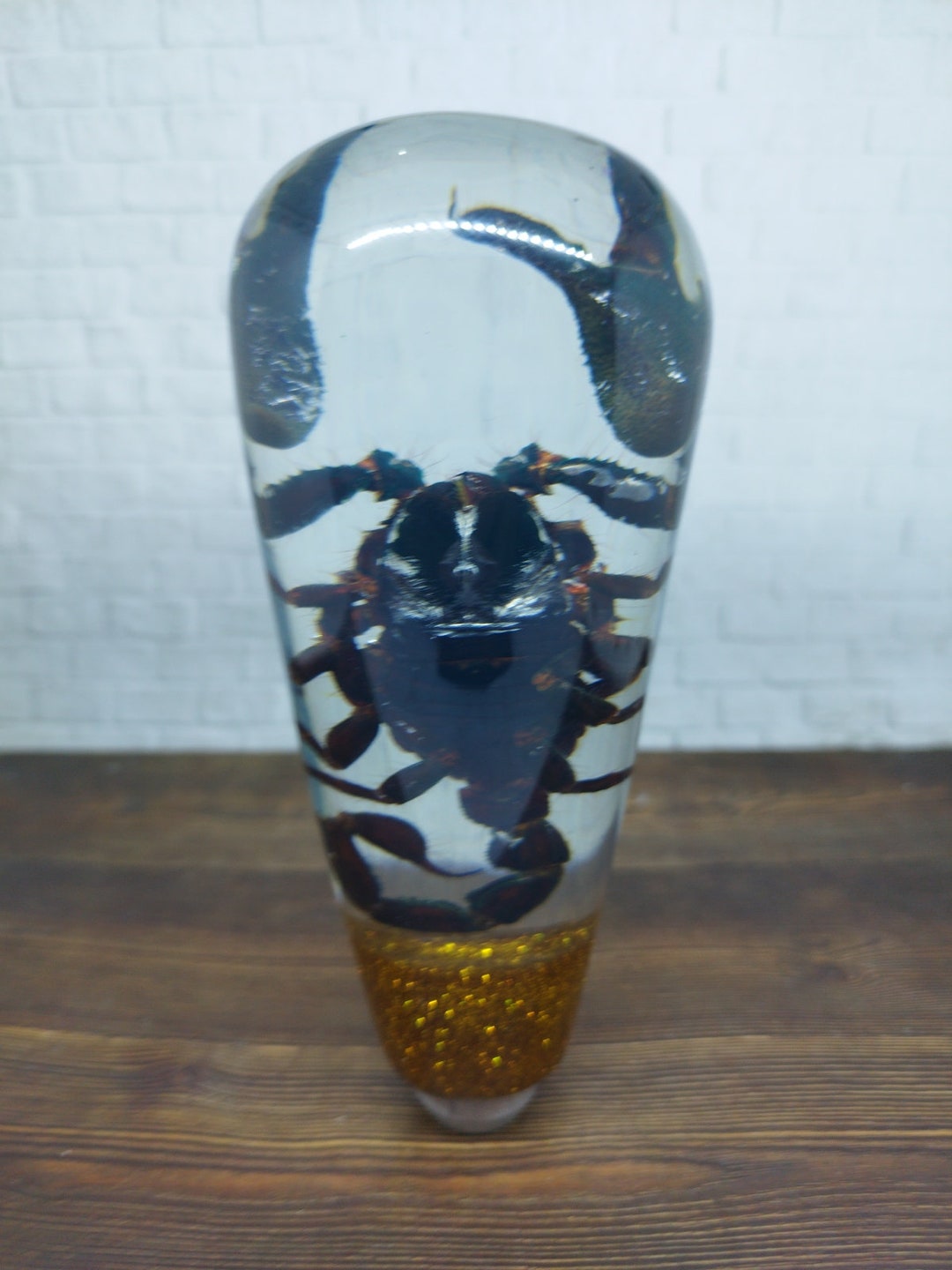 Underwater REAL Scorpio Scorpion Gear Shift Knob From Acrilyc Resin_c128 - Etsy