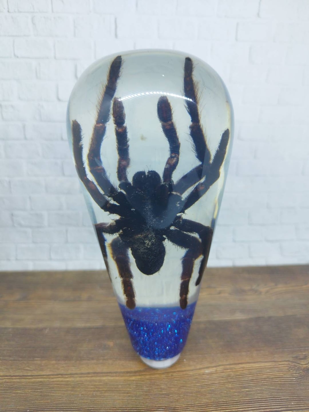 Underwater REAL Spider Tarantula Gear Shift Knob From Acrilyc Resin_c98 ...