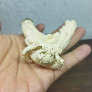 Cthulhu Octopus Kraken and Skull Head Handle Walking Stick Cane From ...