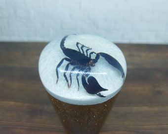 Underwater REAL Scorpio Scorpion Gear Shift Shifter Knob From Acrilyc Resin_c115 - Etsy