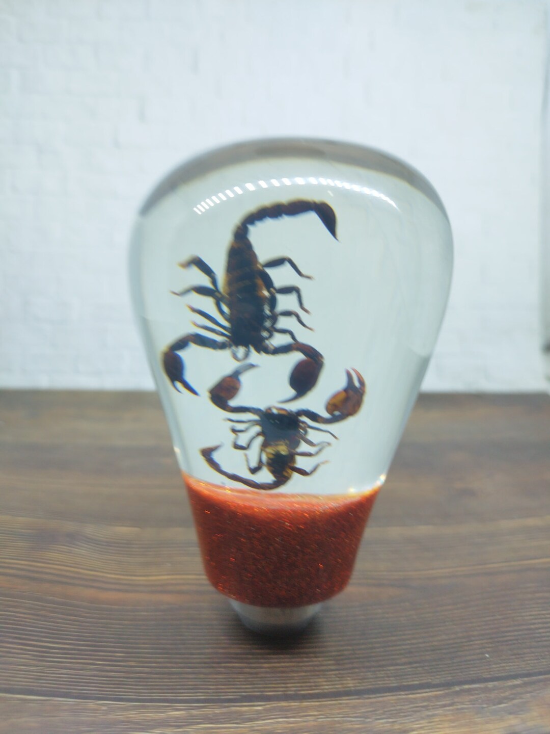 Underwater REAL 2 Fighting Scorpio Scorpion Gear Shift Shifter Knob Acrylic Resin_n24 - Etsy