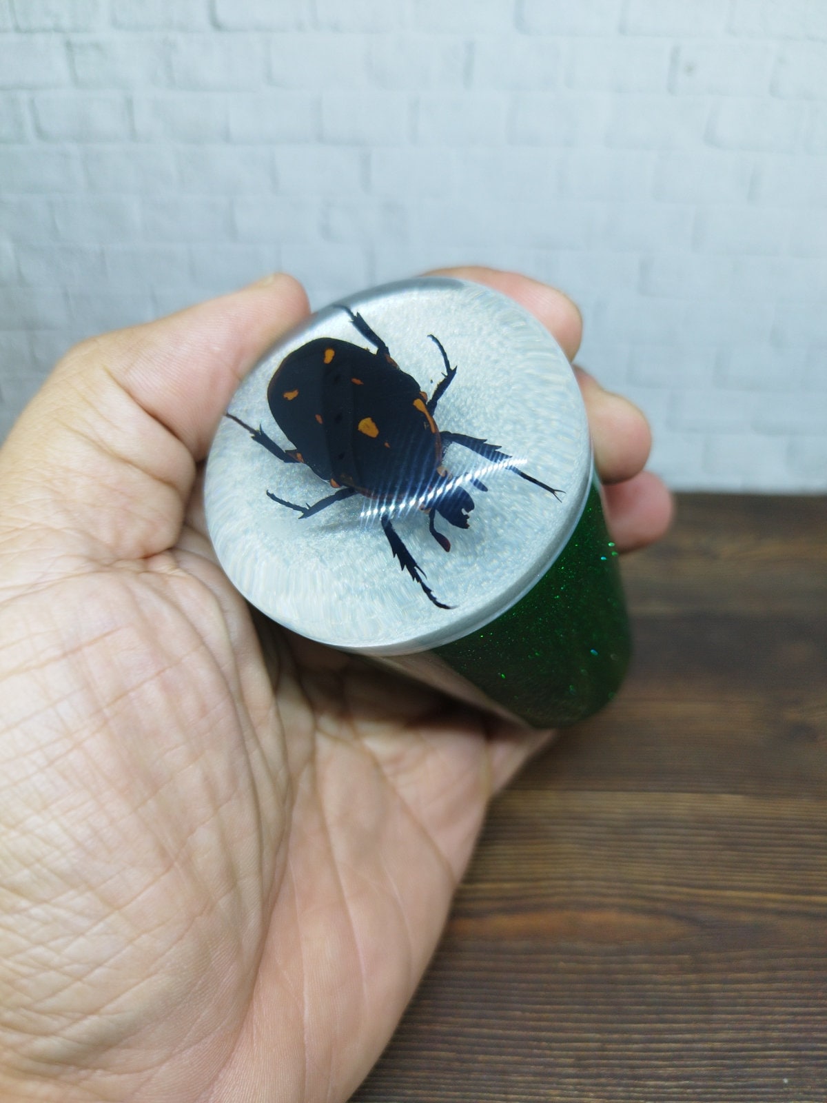 Underwater REAL Beetle Bug Gear Shift Shifter Knob From Acrilyc Resin ...