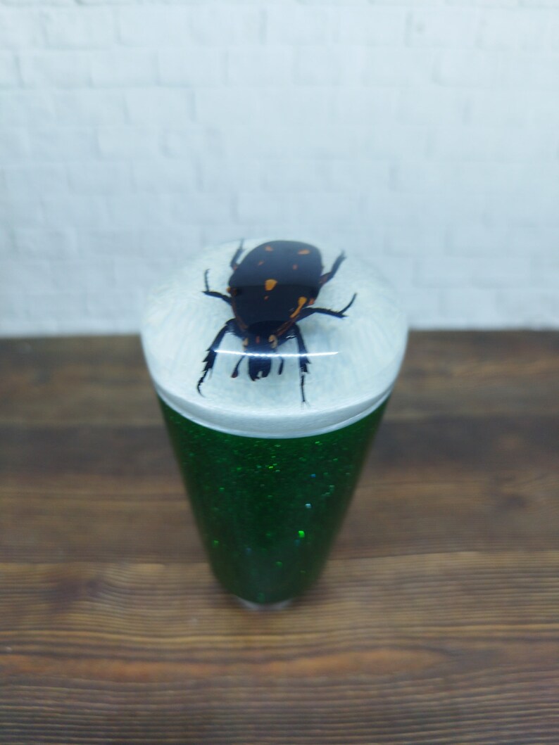 Underwater REAL Beetle Bug Gear Shift Shifter Knob From Acrilyc Resin ...