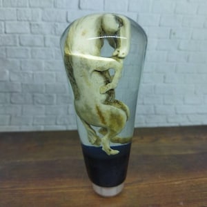 Underwater Horse Sculpture Gear Shift Shifter Knob Deer Antler Acrilyc ...
