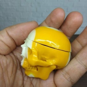 Open Head Skull Skeleton Statue From Billiard Ball Number 9 Hand Carved ...