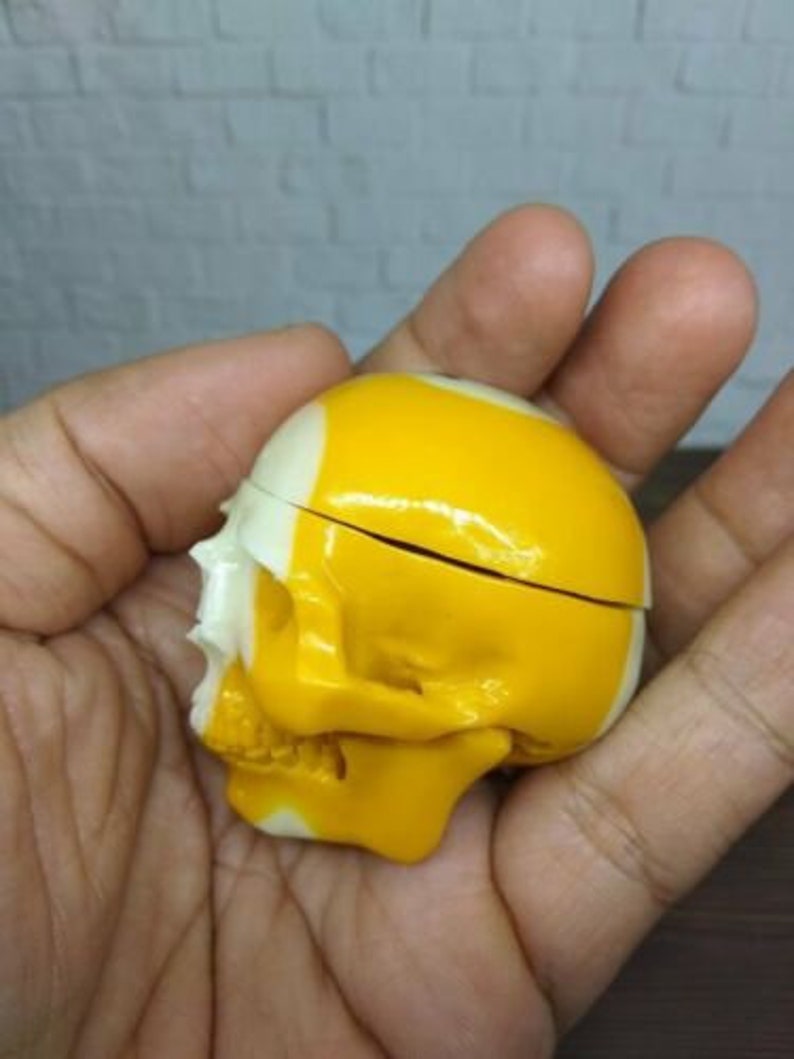 Open Head Skull Skeleton Statue From Billiard Ball Number 9 - Etsy