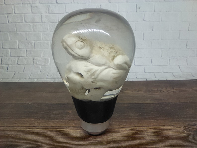 Underwater Skull Skeleton Head and Frog Gear Shift Shifter - Etsy