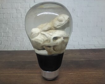 Underwater Skull Skeleton Head Gear Shift Shifter Knob Buffalo | Etsy