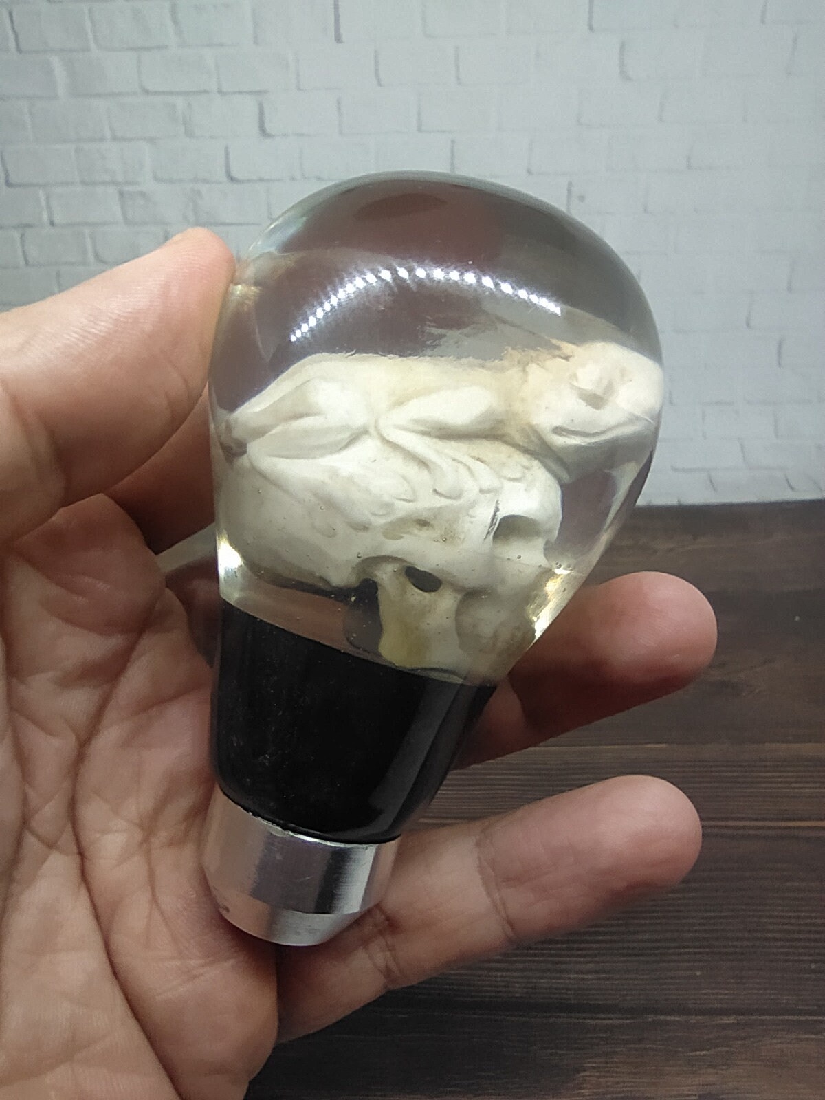 Underwater Skull Skeleton Head and Frog Gear Shift Shifter - Etsy