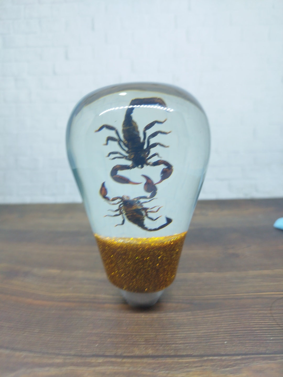 Underwater REAL 2 Fighting Scorpio Scorpion Gear Shift Shifter Knob Acrylic Resin_n14 - Etsy