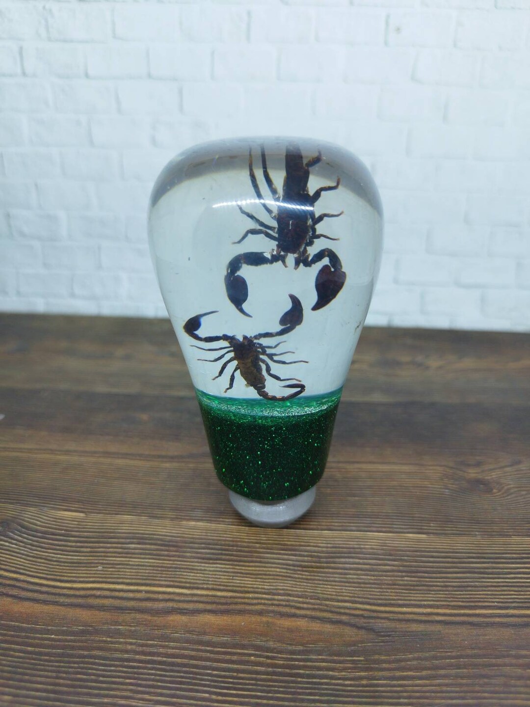 Underwater REAL 2 Fighting Scorpio Scorpion Gear Shift Shifter Knob Acrylic Resin_c105 - Etsy