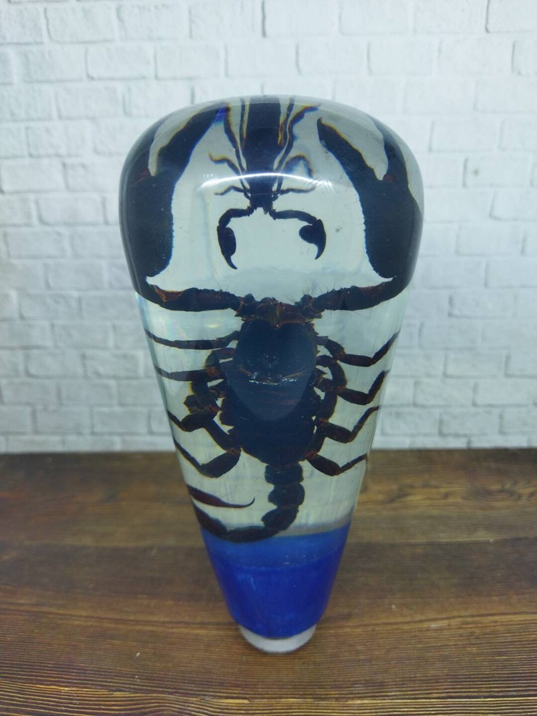 Underwater REAL Fighting Scorpio Scorpion Gear Shift Knob From Acrilyc Resin_c79 (ship From USA ...