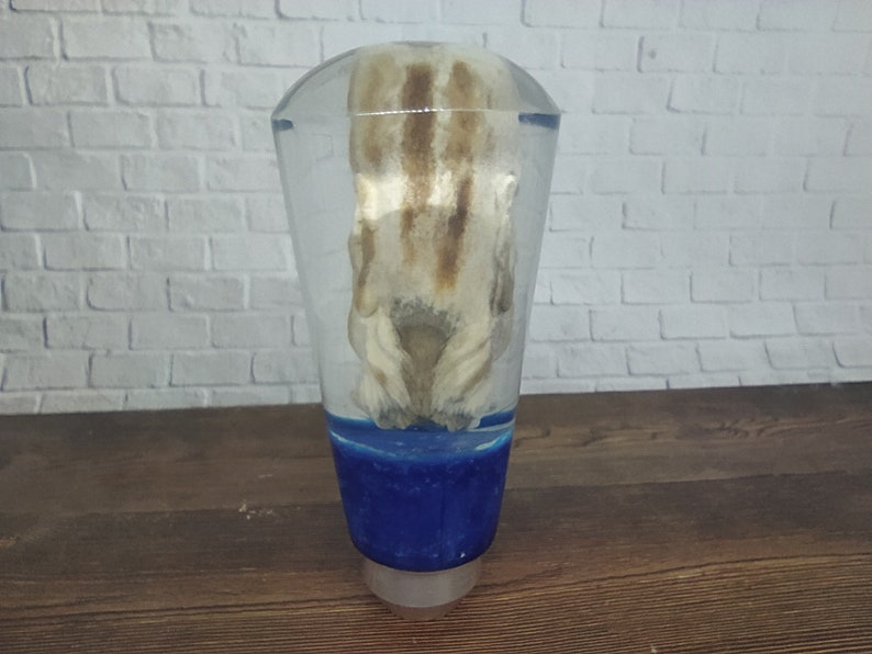 Underwater Demon Devil Head Sculpture Gear Shift Shifter Knob - Etsy