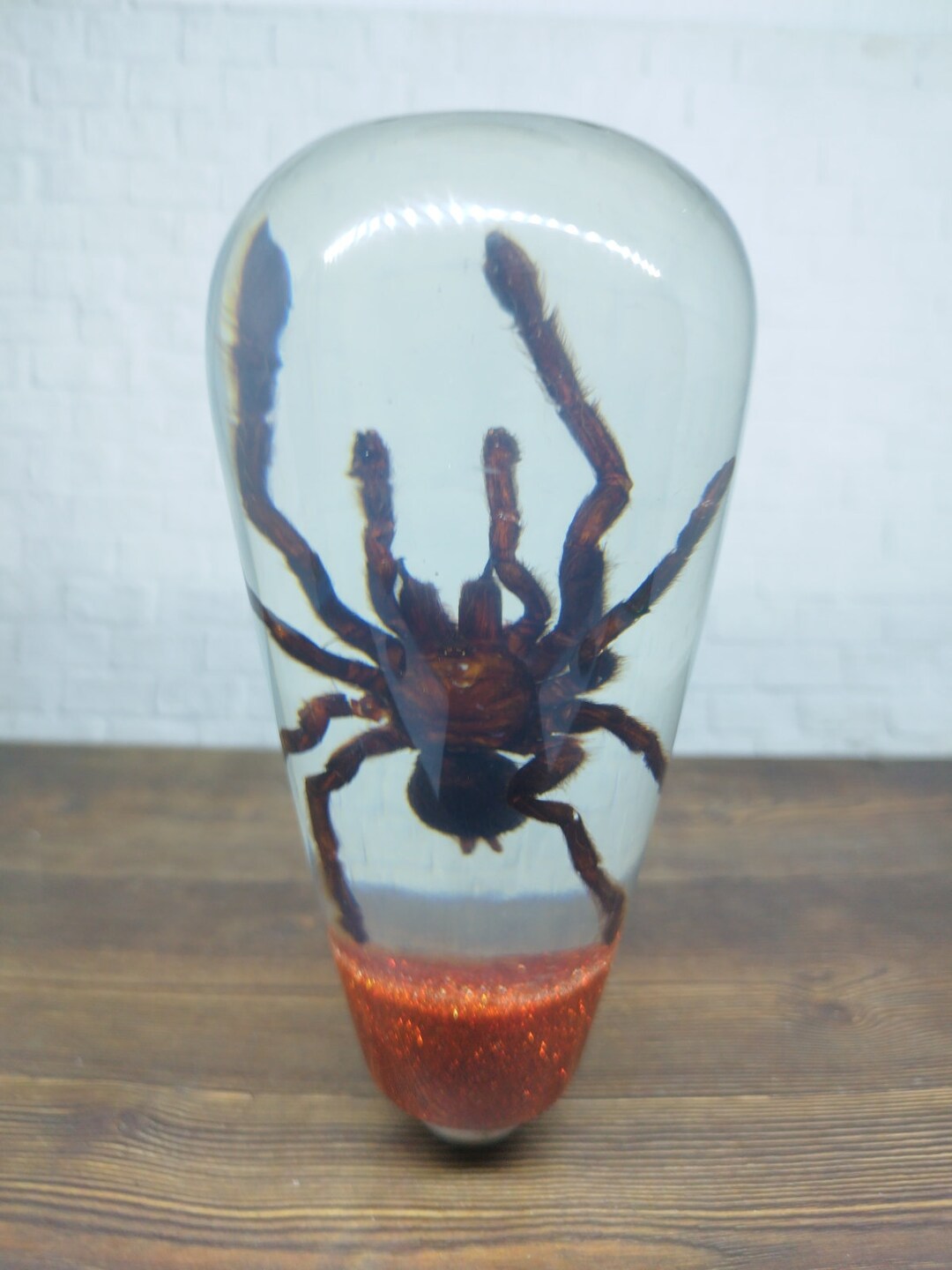Underwater REAL Spider Tarantula Gear Shift Knob From Acrilyc Resin_n28 ...