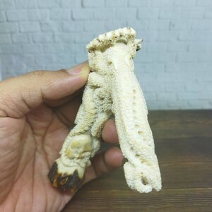 Cthulhu Octopus Kraken and Skull Head Handle Walking Stick Cane From ...