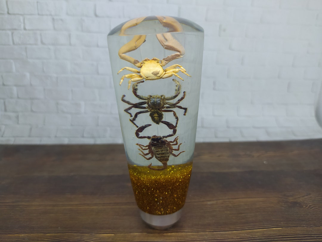 Underwater REAL Scorpio Scorpion Spider Tarantula Gear Shift Shifter Knob Acrylic Resin_a289 - Etsy