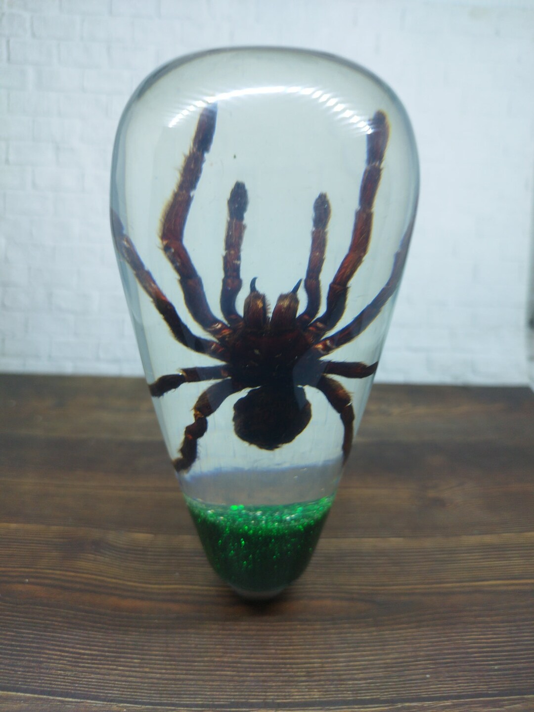 Underwater REAL Spider Tarantula Gear Shift Knob From Acrilyc Resin_n29 ...