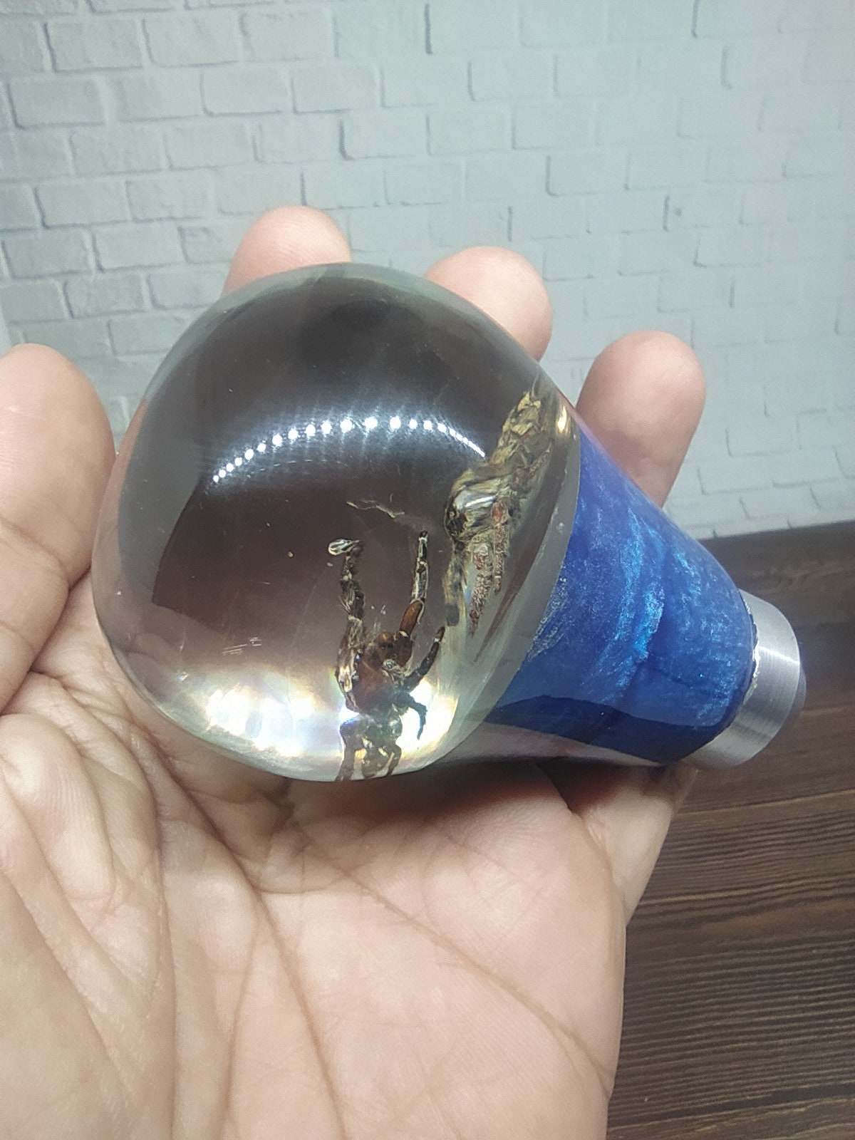 Underwater REAL Fighting SPIDER Gear Shift Knob From Acrilyc | Etsy