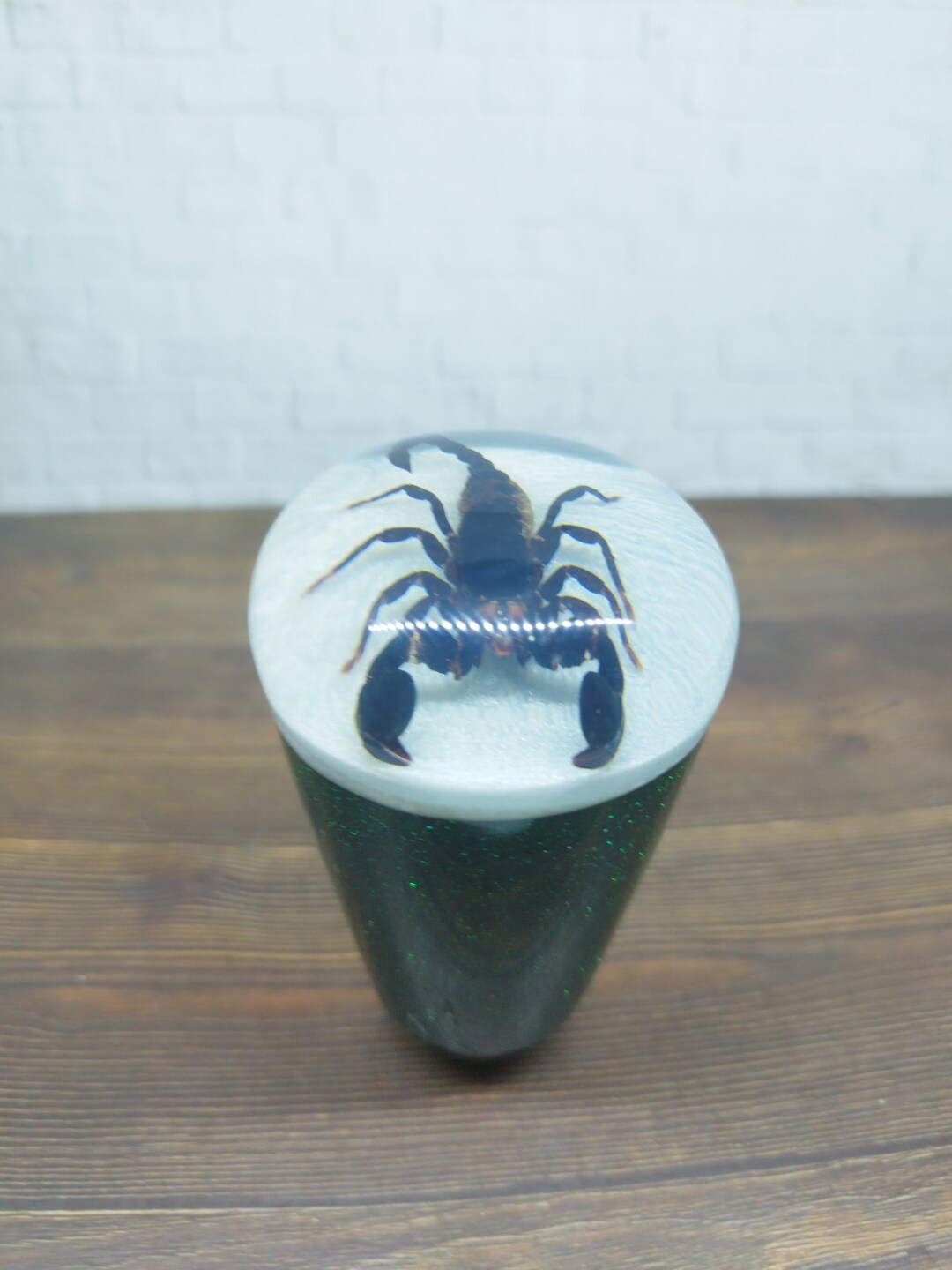 Underwater REAL Scorpio Scorpion Gear Shift Shifter Knob From Acrilyc Resin_n23 - Etsy