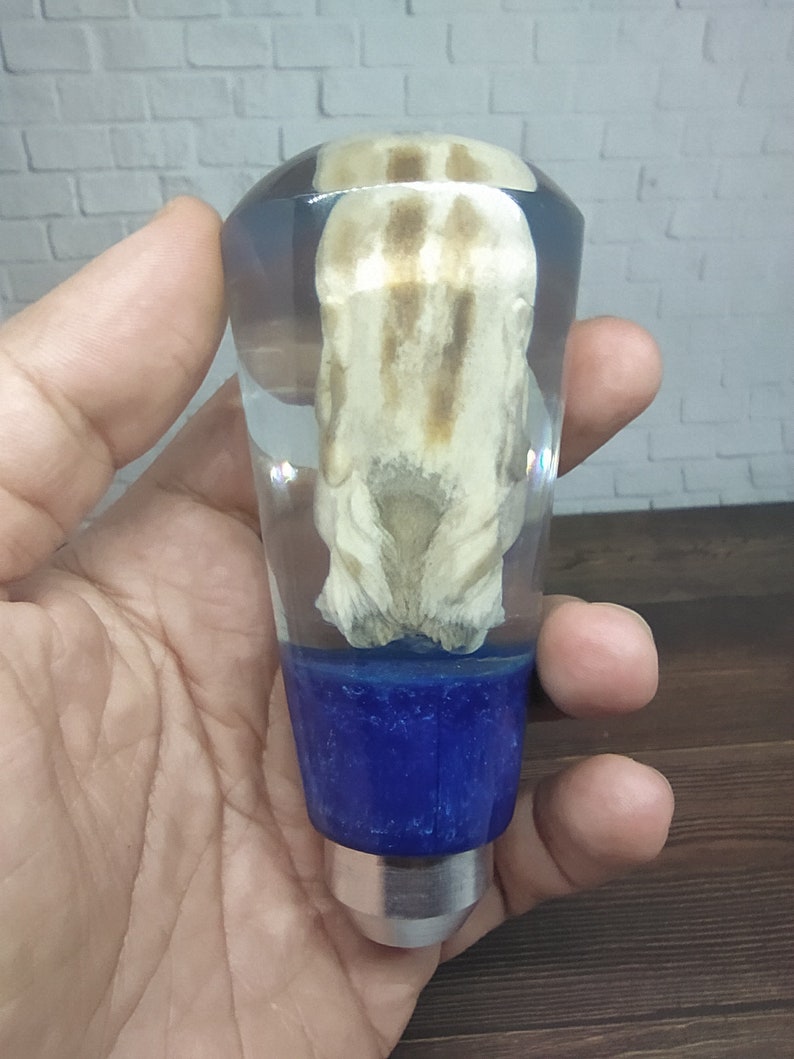 Underwater Demon Devil Head Sculpture Gear Shift Shifter Knob - Etsy
