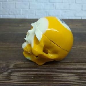 Open Head Skull Skeleton Statue From Billiard Ball Number 9 Hand Carved ...