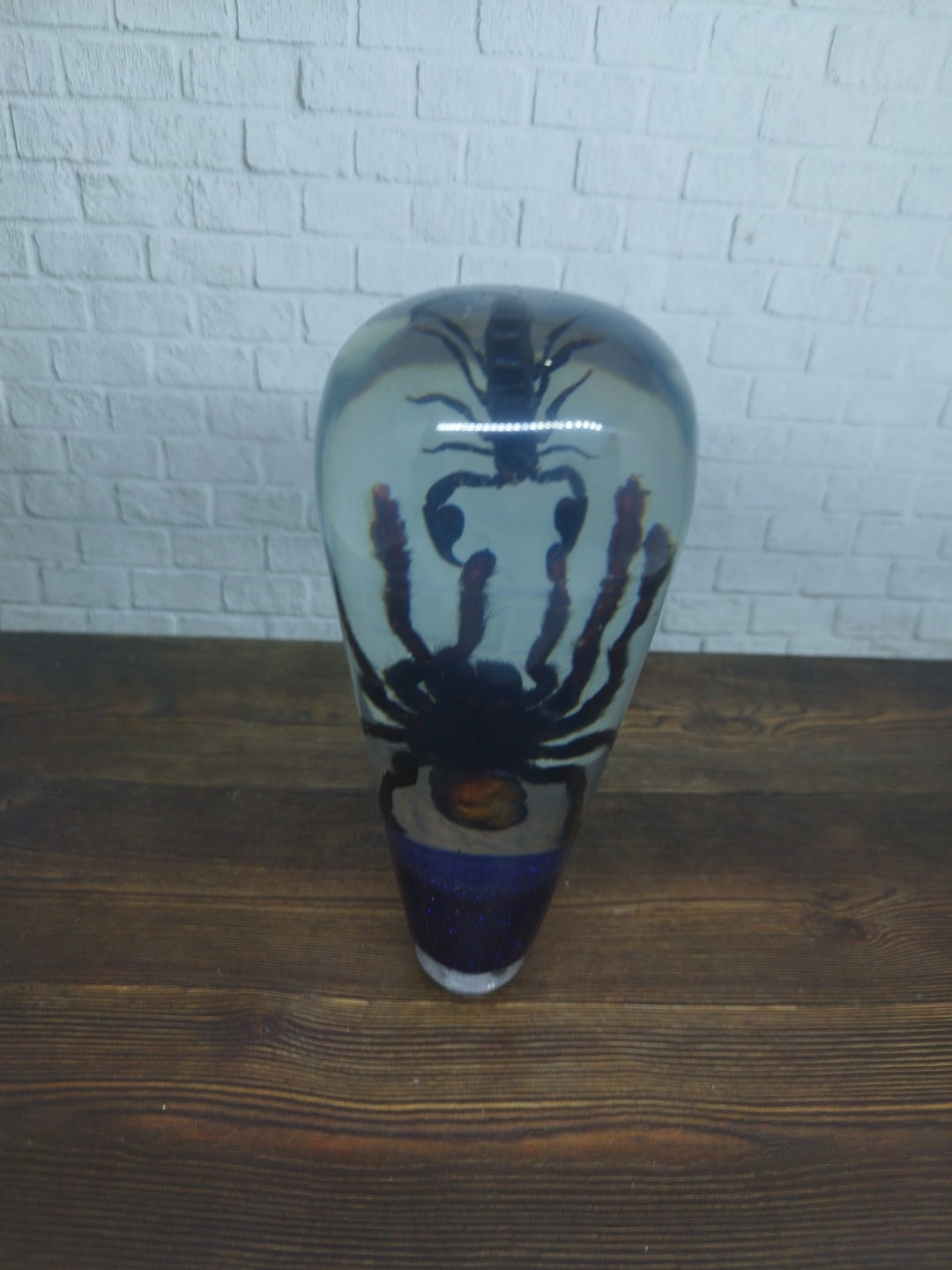 Underwater REAL Spider Tarantula Vs Scorpion Scorpio Gear Shift Shifter Knob From Acrilyc Resin ...