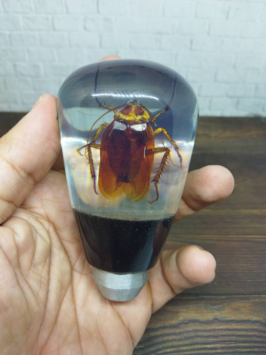 Underwater REAL Cockroaches Gear Shift Shifter Knob From Acrilyc Resin ...