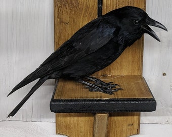 Stuffed crow | Etsy